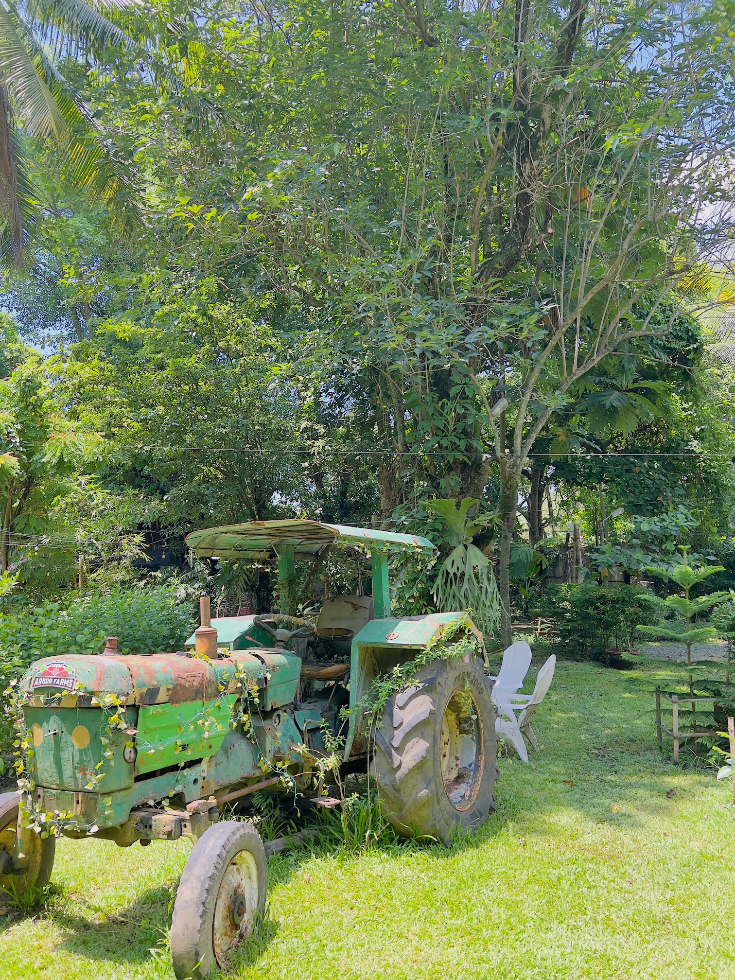 Bukid Feels in the City at Arbor Farms