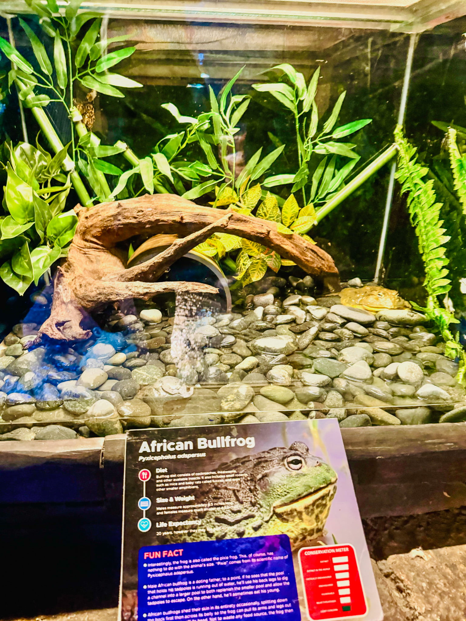 A Family Adventure at Cebu Ocean Park