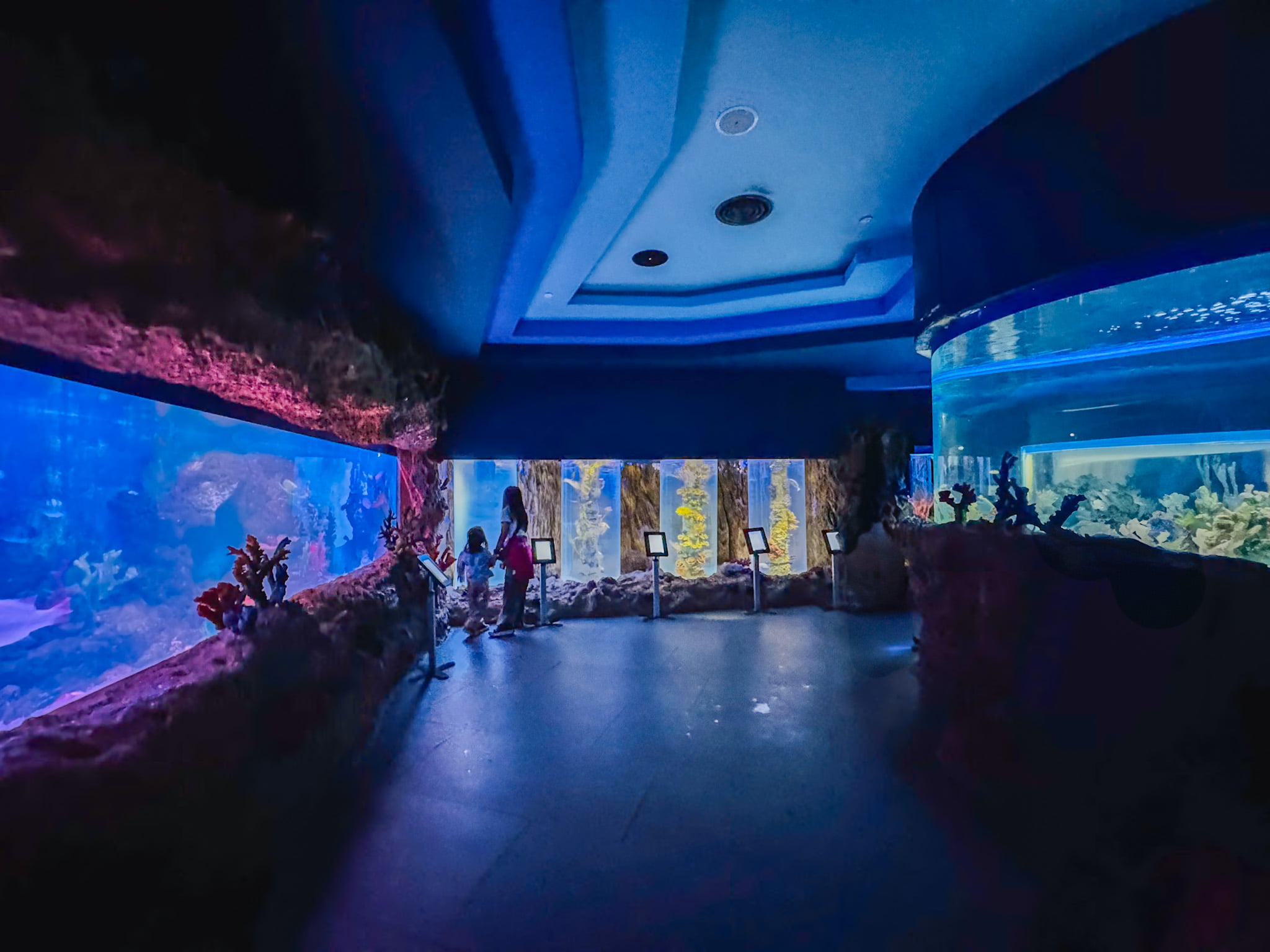 A Family Adventure at Cebu Ocean Park