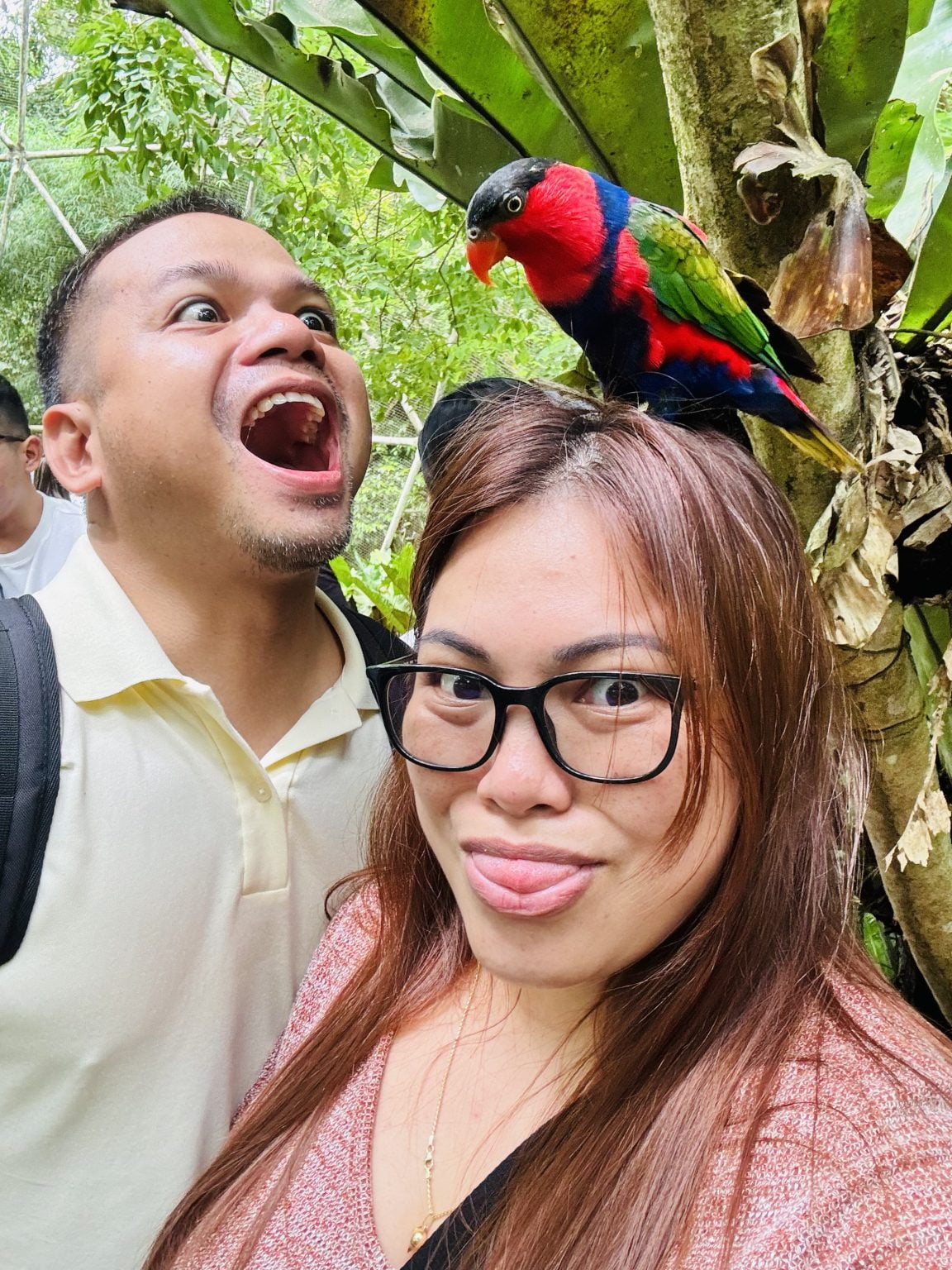 Wildlife Encounters at Cebu Safari and Adventure Park