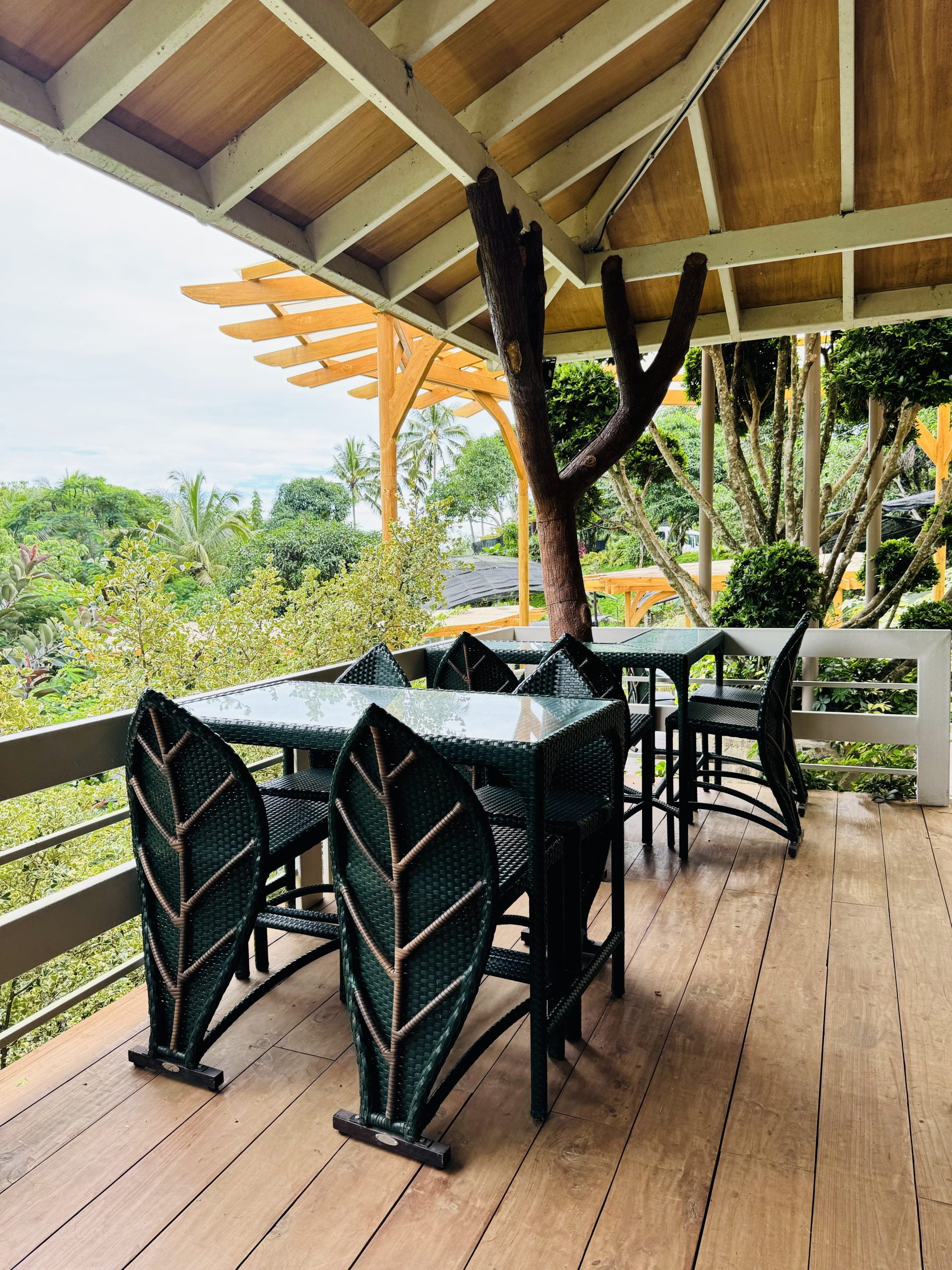 Wildlife Encounters at Cebu Safari and Adventure Park