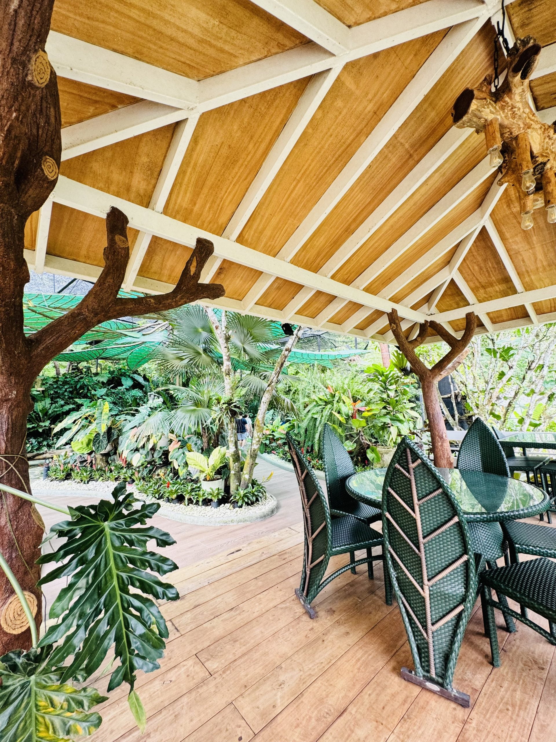 Wildlife Encounters at Cebu Safari and Adventure Park