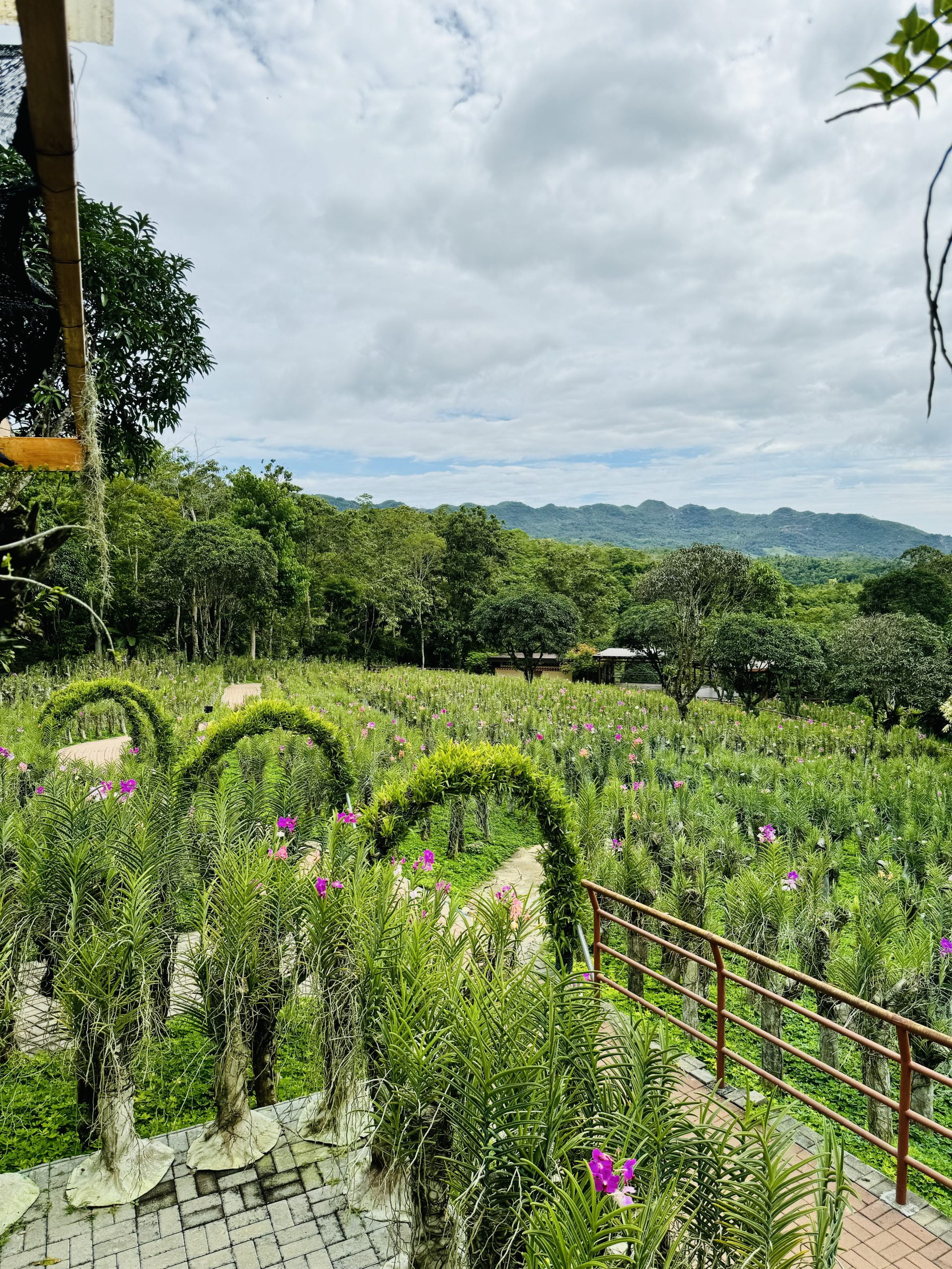 Wildlife Encounters at Cebu Safari and Adventure Park