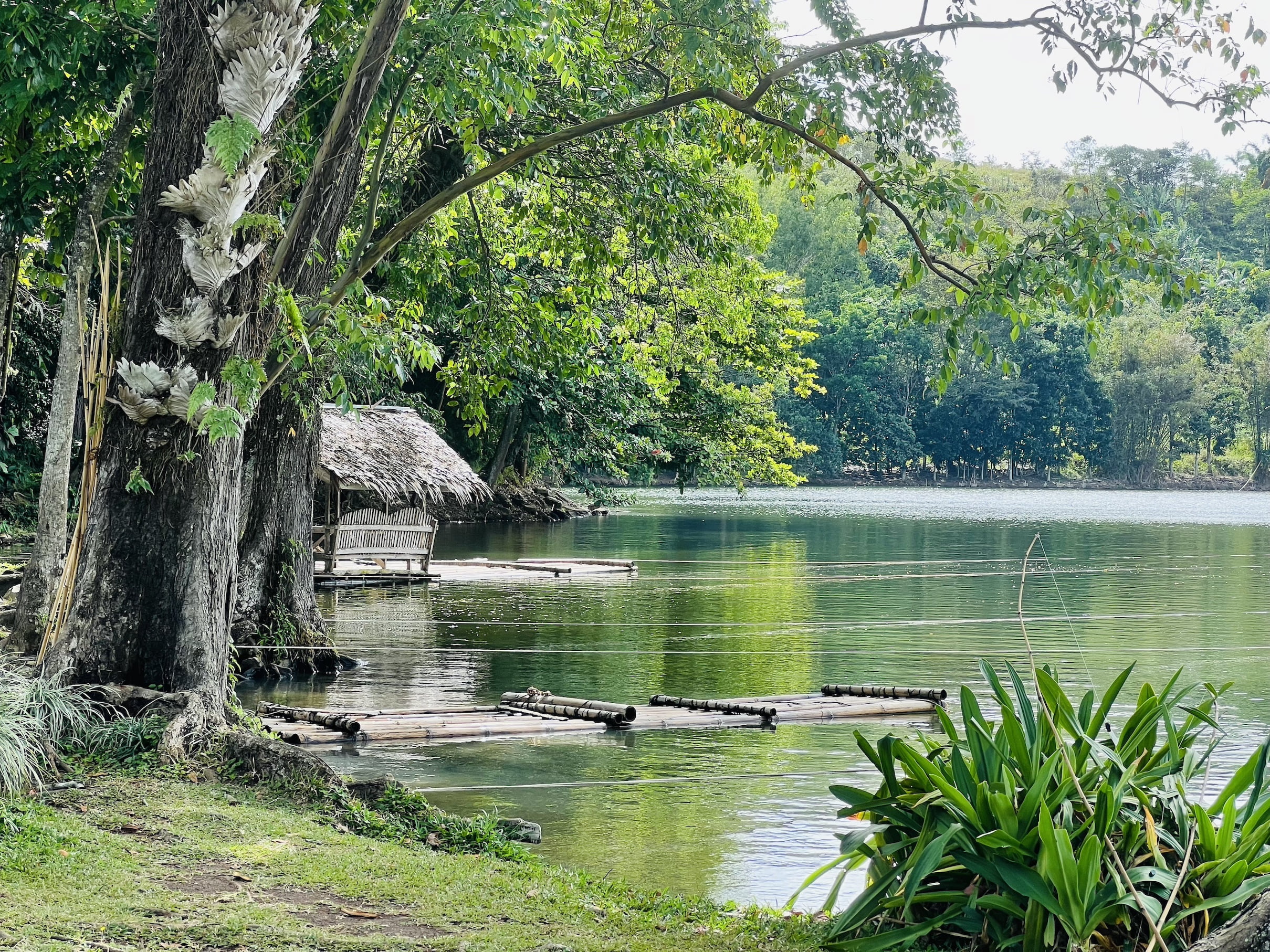 Lake Apo Wedding 📍Lake Cometa, Kapatagan, Daniella Delos Cientos