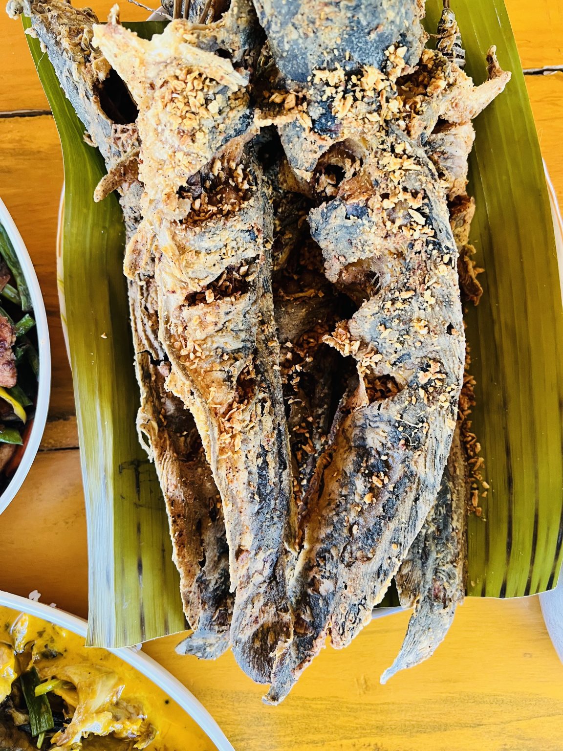 Pasol Mo Luto Ko at Lindo's Farm