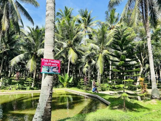 Pasol Mo Luto Ko at Lindo's Farm