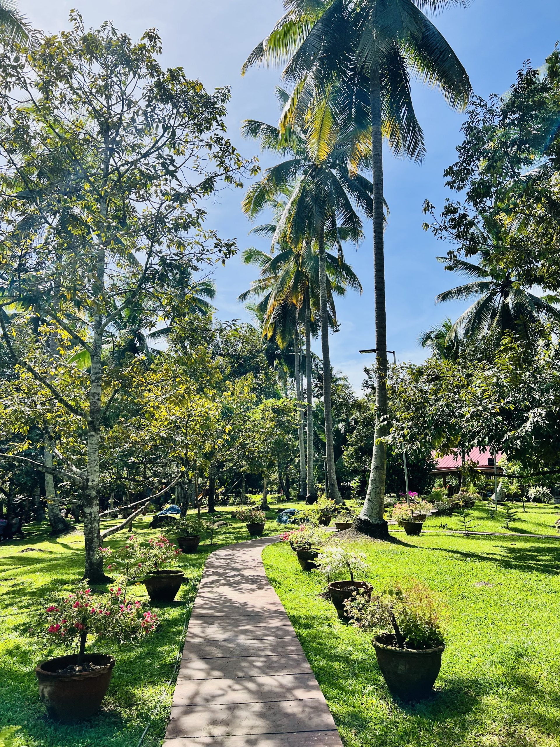 Pasol Mo Luto Ko at Lindo's Farm