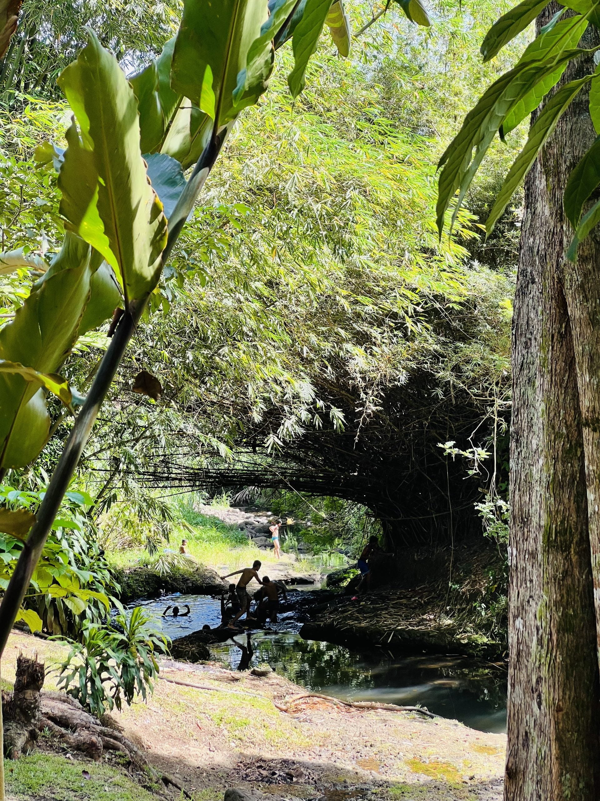 Pasol Mo Luto Ko at Lindo's Farm