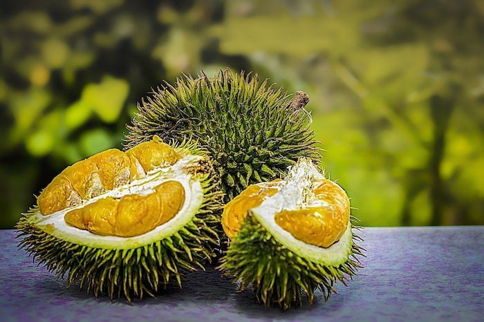 7 Reasons to Visit Davao City in August